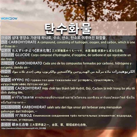 탄수화물 Carbonhydrate A3