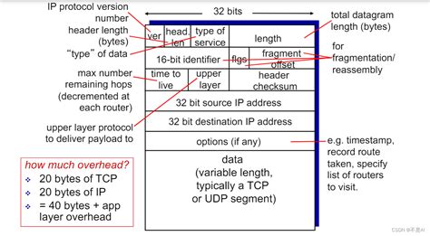 【网络技术】【kali Linux】wireshark嗅探（十）ipv4和ipv6