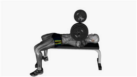 Barbell Bench Press Fitness Exercise Workout Animation Video Male