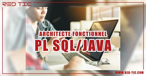 Architecte Fonctionnel Plsqljava Red Tic