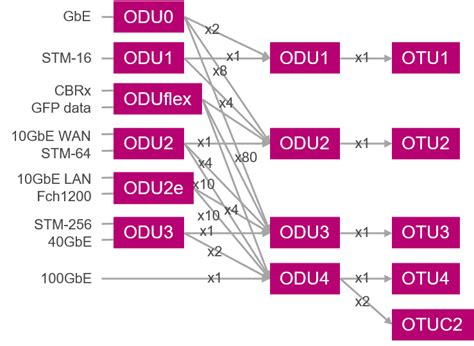 What Can Otn Do For Me Ribbon Communications What Can Otn Do For Me Ribbon Communications