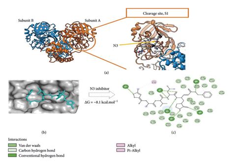 A Representation Of The 3clpro Protease With N3 Inhibitor Overall