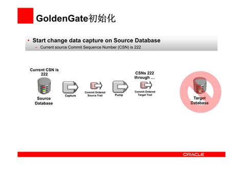 Oracle Golden Gate Introduction PDF