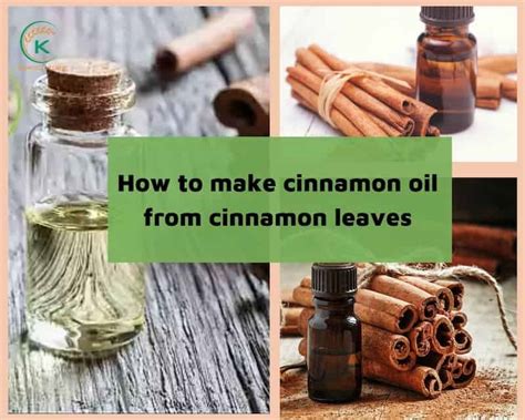 How To Make Cinnamon Oil From Cinnamon Leaves Top 6 Great Benefits K Agriculture