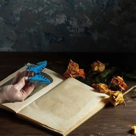 闲！（深度好文）生活