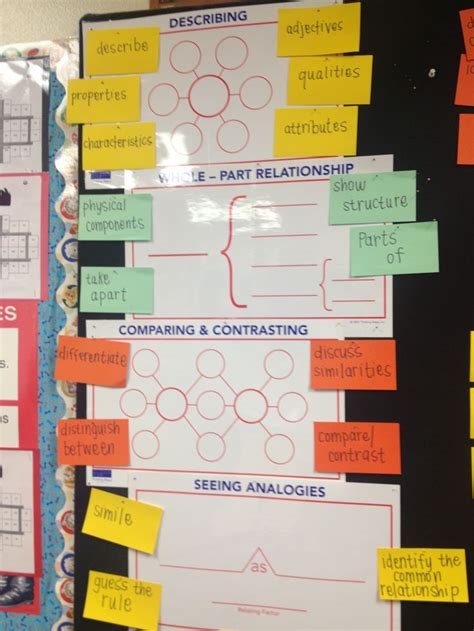 22 Best Images About Thinking Maps On Pinterest Trees Circles And Anchor Charts