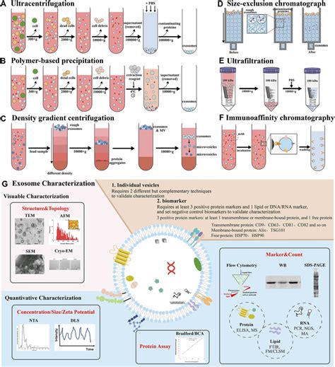 Demonstration Of Various Isolation And Characterization Methods Of Download Scientific Diagram