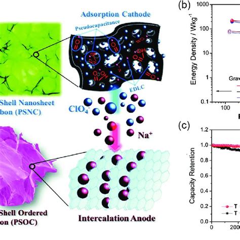 A Schematic Illustration Of The Synthesis Process For Peanut Shell Download Scientific Diagram