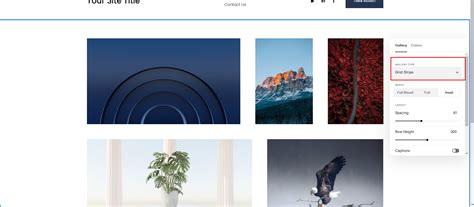 Using Multiple Aspect Ratios In A Single Gallery Customize With Code Squarespace Forum