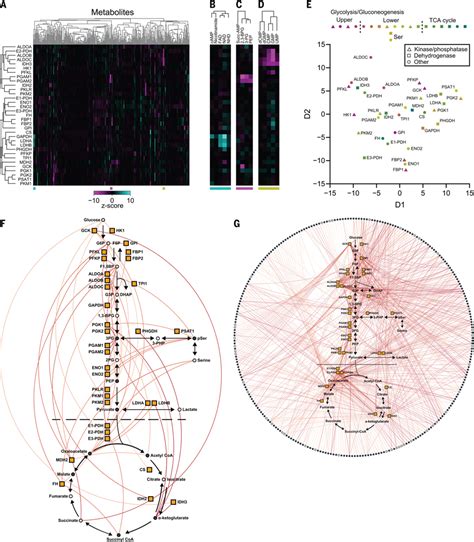 Protein Metabolite Interactomics Of Carbohydrate Metabolism Reveal