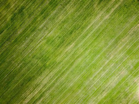 Premium Photo Crop Pattern