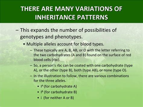 Ppt Patterns Of Inheritance Powerpoint Presentation Free Download