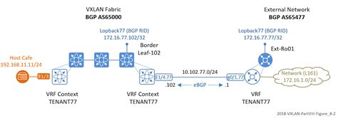 The Network Times VXLAN Part VIII VXLAN BGP EVPN External Connection