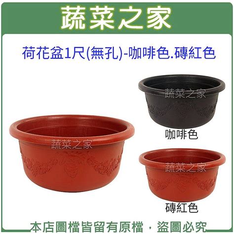 【蔬菜之家滿額免運005 D123】荷花盆1尺無孔 咖啡色磚紅色底部無洞，適合水耕或水生植物 露天市集 全台最大的網路購物市集
