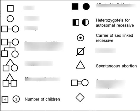 123 Lecture 2 Diagram Quizlet