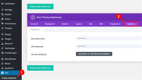 Divi Theme Api Key Eintragen Für Updates Und Die Layout Bibliothek