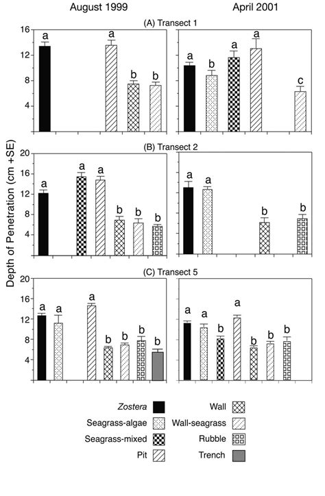 Depth Of Penetration Cm SE Into The Substratum For Different Download Scientific Diagram