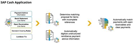 Machine Learning Use In Sap Aierp2