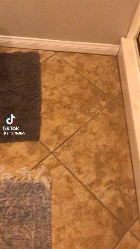 Scorpion Rule R 19684