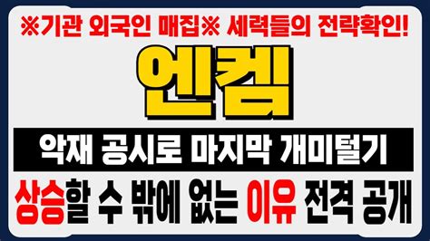 엔켐 주가전망 악재 공시로 마지막 개미털기 들어갔습니다 기관과 외국인은 매집하고 있는데 세력들 전략 확인 안하시나요 상승 이유 전부 알려드리겠습니다 엔켐