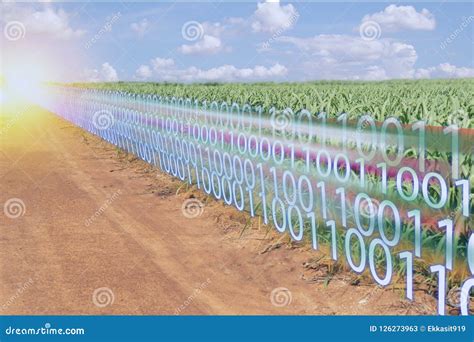 Iot Smart Industry 4 0 Digital Transformation With Artificial Intelligence Or Ai In Agriculture