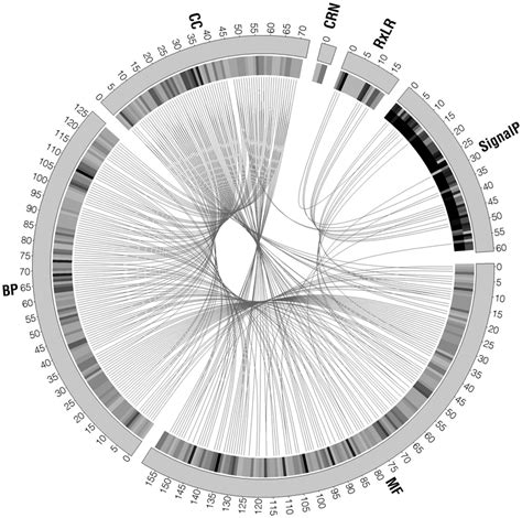 Visualization Of The Sequence Annotation Using Go Categories Blast