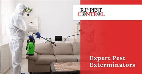 Rodent Control Services Plymouth Mi Rjs Pest Control