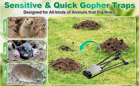 16 Pack Outdoor Gopher Traps Reusable Metal Easy Set Weather Resistant Gopher