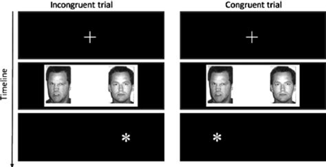 The Dot Probe Task To Measure Threat Bias Download Scientific Diagram