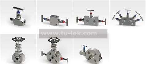 Monoflange Valve And Mono Flange Single Dbb Needle Manufacturer India