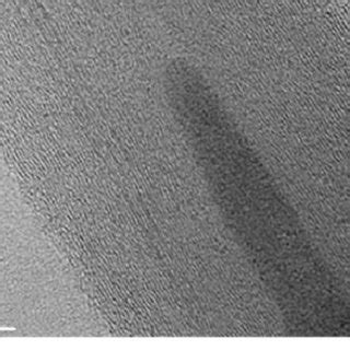 SEM Images Of Samples 1 A B And 6 C Download Scientific Diagram