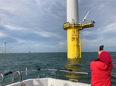 Offshore Wind Farms — Our Role In Advising On The Right Place For Low Impact On Marine And