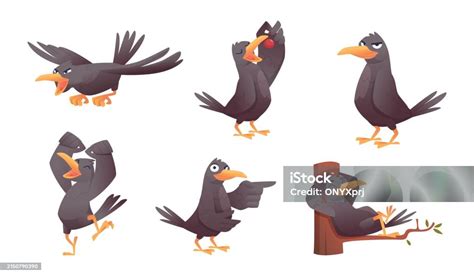 까마귀 검은 새 날고 서 있는 정확한 벡터 재미 있는 새 행동 포즈 갈고리 발톱에 대한 스톡 벡터 아트 및 기타 이미지 갈고리 발톱 개체 그룹 검은새 Istock
