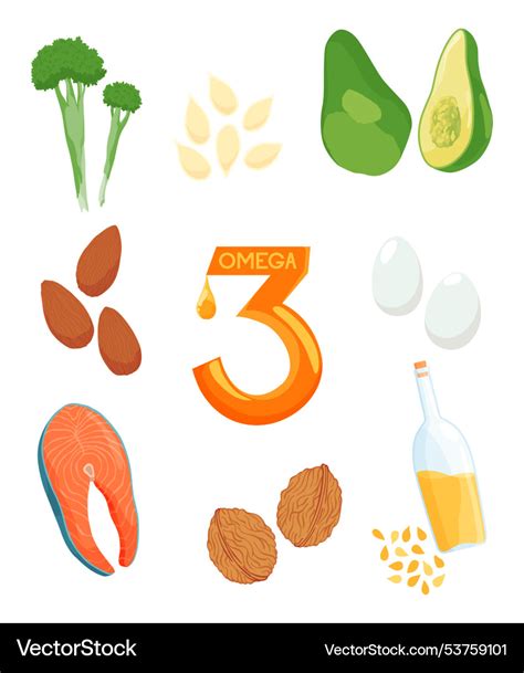 Infographics Foods With The Highest Content Vector Image