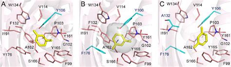 Structure Guided Selective Sensing Of M Xylene Panels A−c Represent