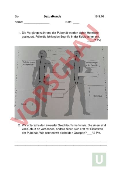 Arbeitsblatt Sexualkunde Biologie Fortpflanzung Entwicklung