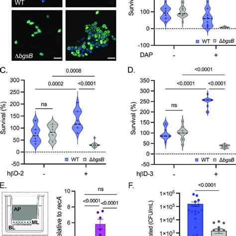 Hexagonal Ii And Lamellar Lipid Phases Lipids With A Polar Head Shown Download Scientific