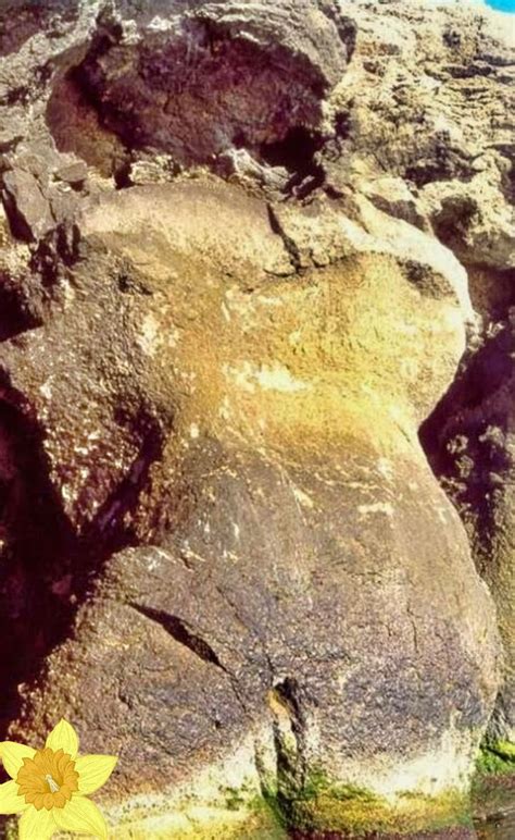 Female Genitalia Pudenda Rock Formation Artofit