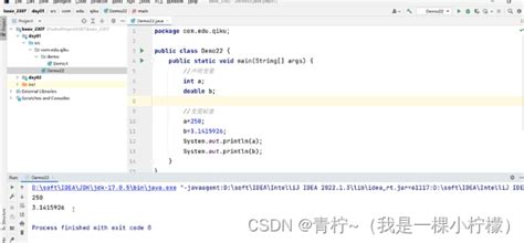 关于变量的那些东西 Csdn博客