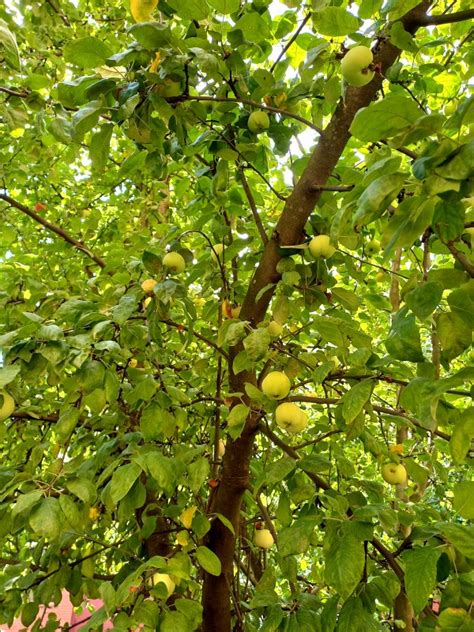 Мозаика из фактов, историй и фотографий — LiveJournal