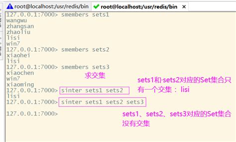 Redis操作set、zset、hash数据类型以及可视化工具的使用redis Set Zset Csdn博客