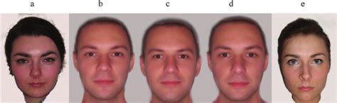The Example Of Other Sex Transforms A Participant B Transform Of Download Scientific