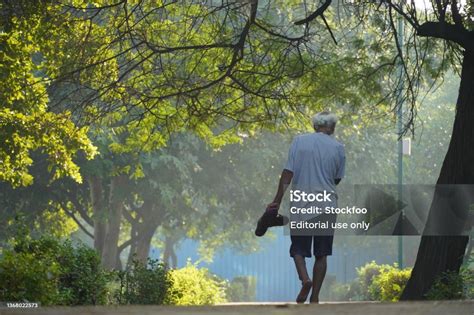 인도 델리 카슈미르 문 2022년 1월 30일 노인이 공원을 혼자 간다 개념에 대한 스톡 사진 및 기타 이미지 개념 개념과 주제 고독 개념 Istock