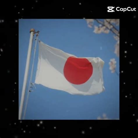 🇻🇳🇲🇨🇹🇭🇵🇭🇷🇺🇰🇷🇯🇵🇳🇱 But Everyone Depressed 😑countryhumans Single Version