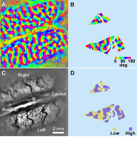 figure 1 from the representation of complex images in spatial frequency
