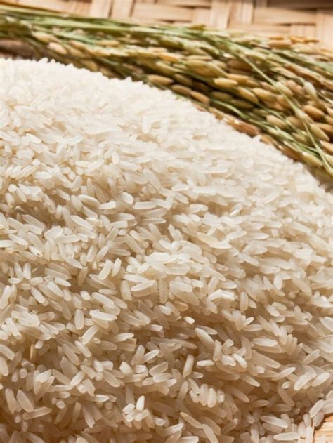 Varieties Of Basmati Rice In India GetDistributors