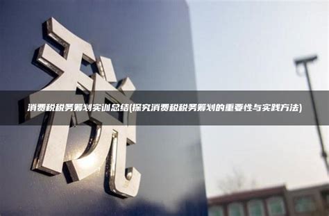 消费税税务筹划实训总结 探究消费税税务筹划的重要性与实践方法 灵活用工平台