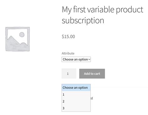 What Is A Subscription Product Guide To Setting One Up On Your Ecommerce Website 2022