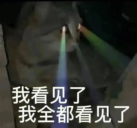 200张无水印的沙雕表情包 知乎