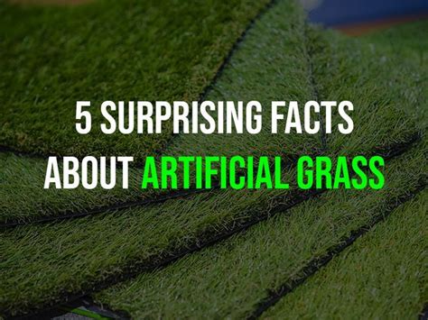 5 Surprising Facts About Artificial Grass In Manteca That You Didnt